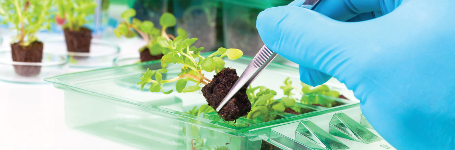 Giới Thiệu – Microbial Biofertilizer